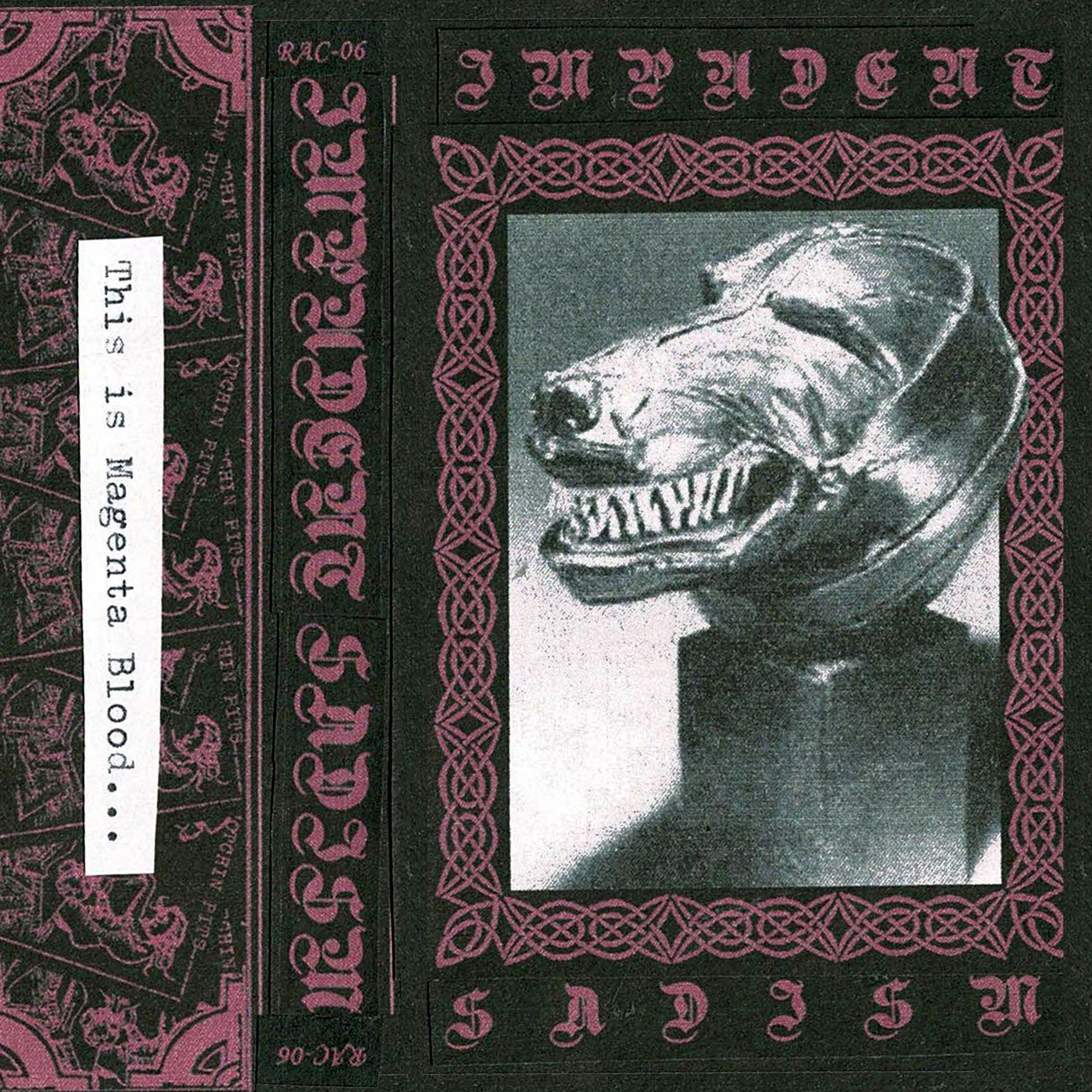 IMPUDENT SADISM - ST – Crypt of the Wizard