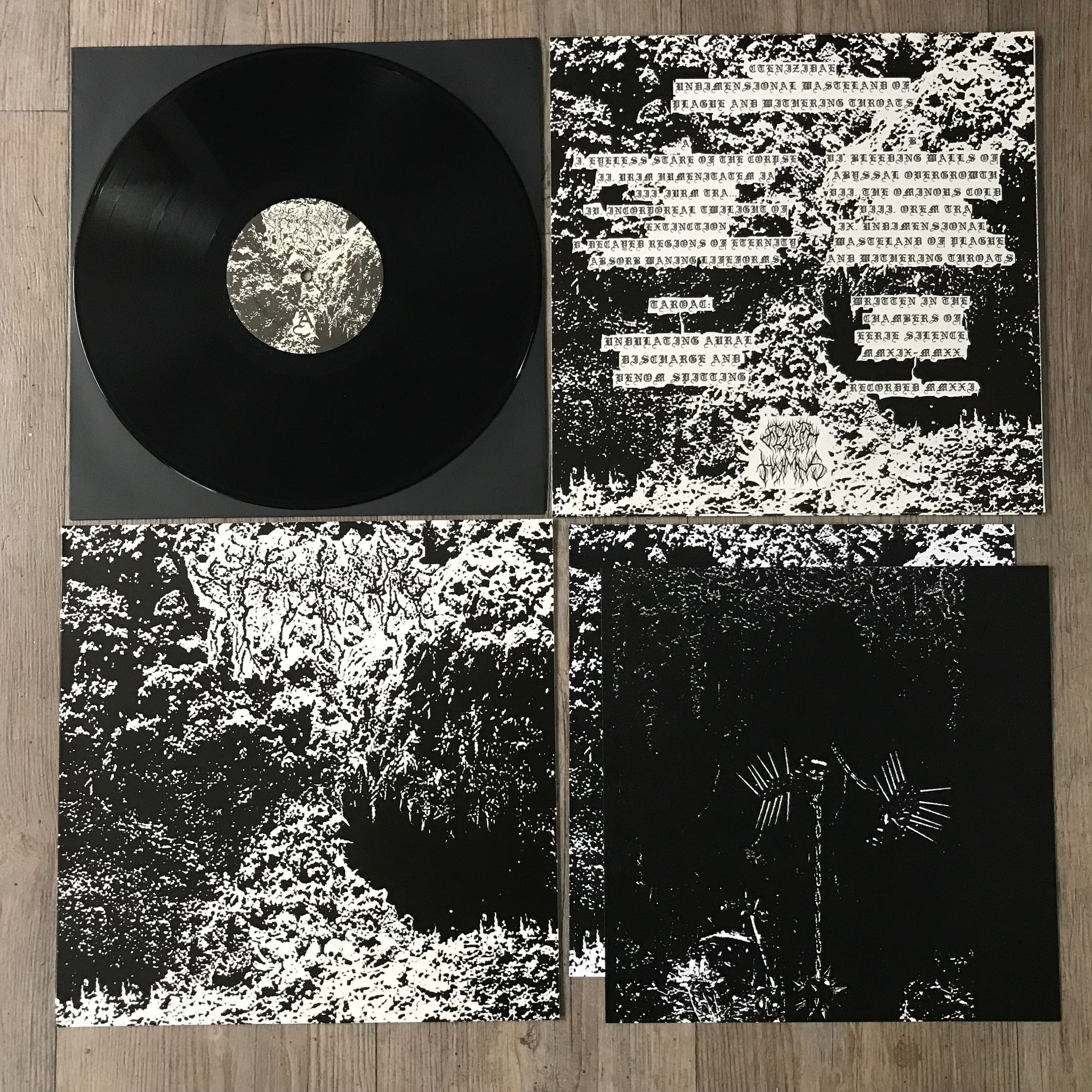 Ctenizidae - Undimensional Wasteland of Plague and Withering Throats L ...