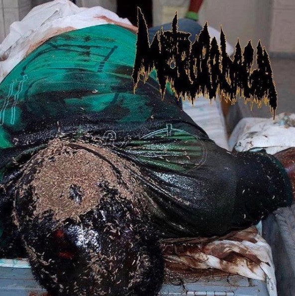 Metrorrhagia - S/T – Crypt of the Wizard