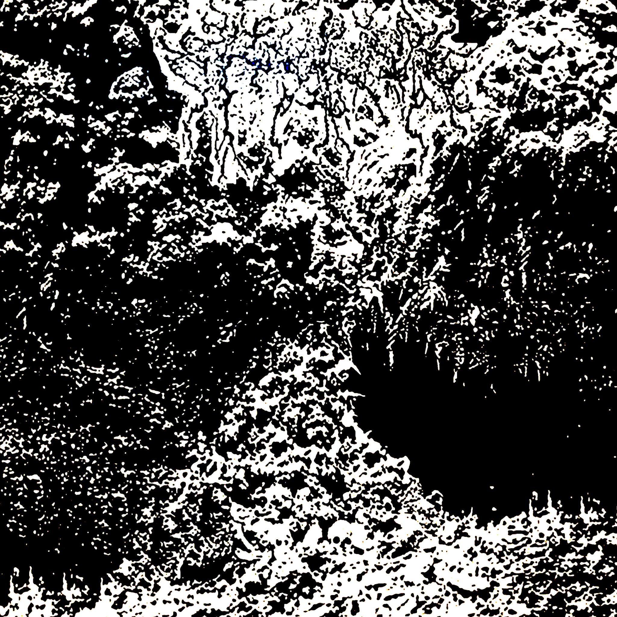 Ctenizidae - Undimensional Wasteland of Plague and Withering Throats L ...